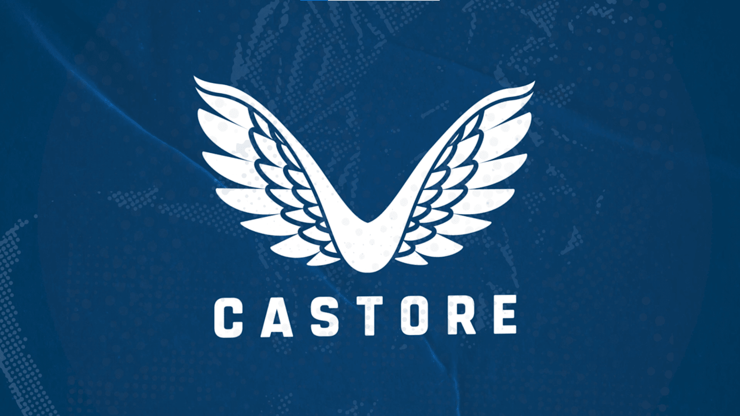 Download Castore Logo PNG And Vector (PDF, SVG, Ai, EPS), 40% OFF