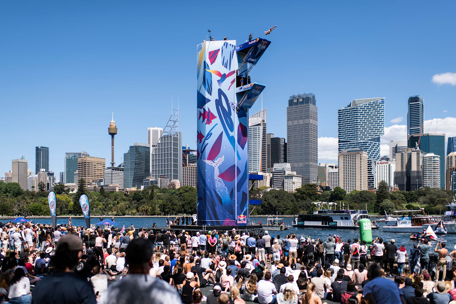 Red Bull Cliff Diving 2024