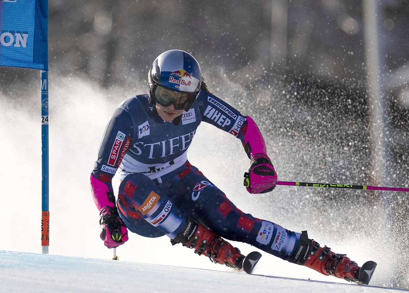 alpine race features