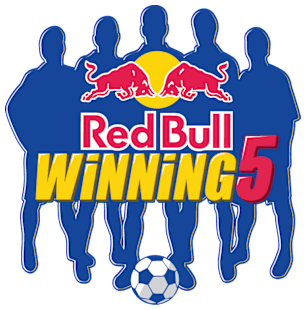 Red Bull Winning 5 Maldives 2019: Rules of play