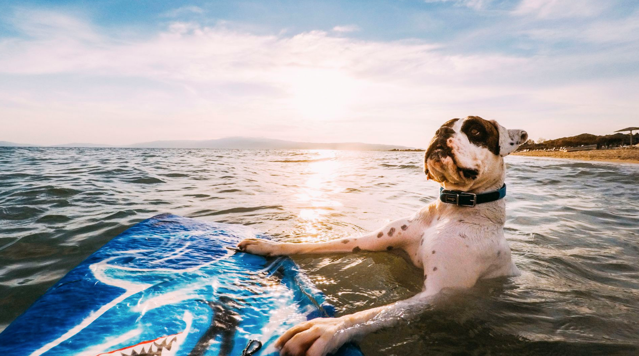 Tips para tomar las mejores fotos con tu GoPro