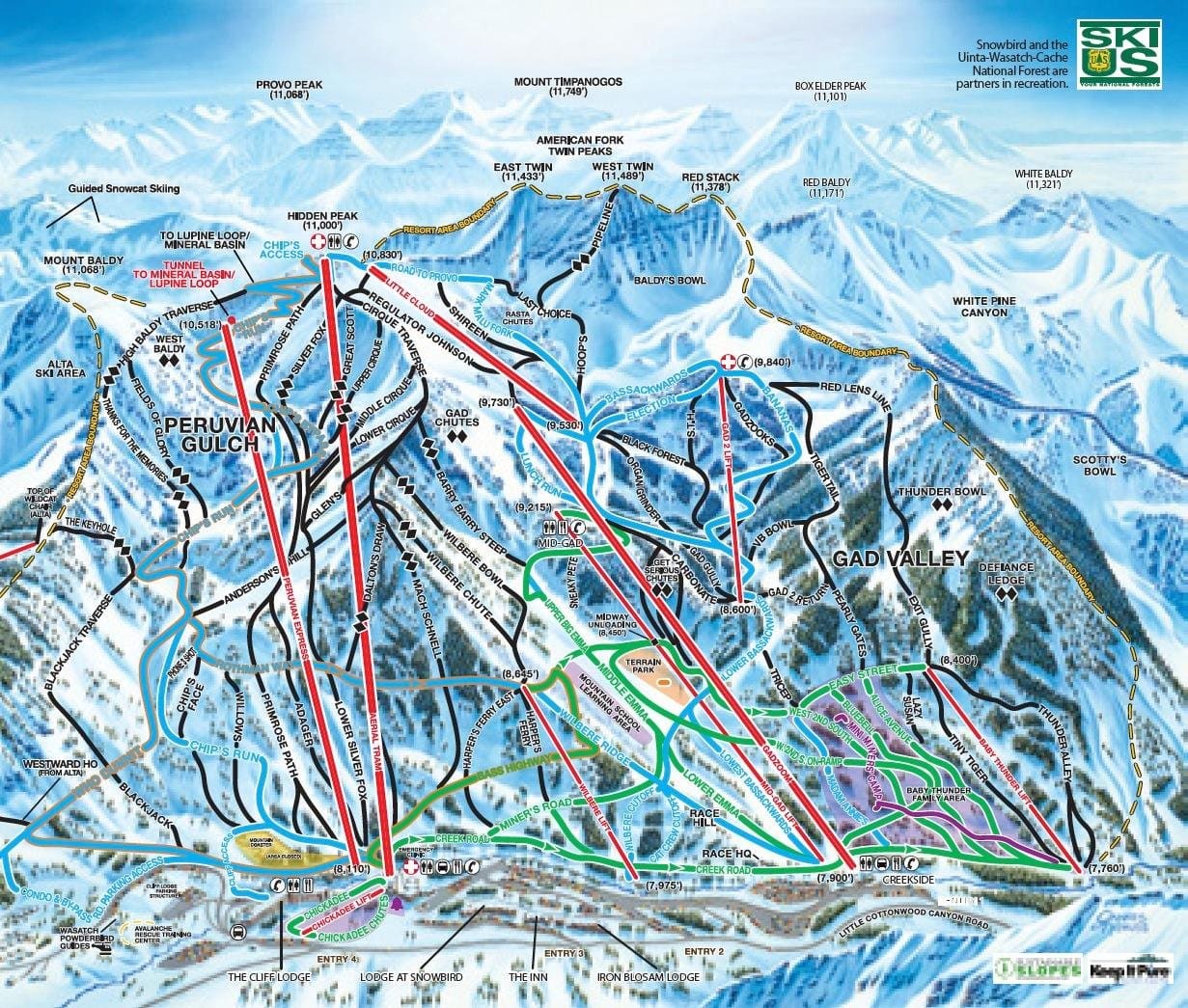 Guía de esquí y snowboard en Snowbird, Utah | Red Bull