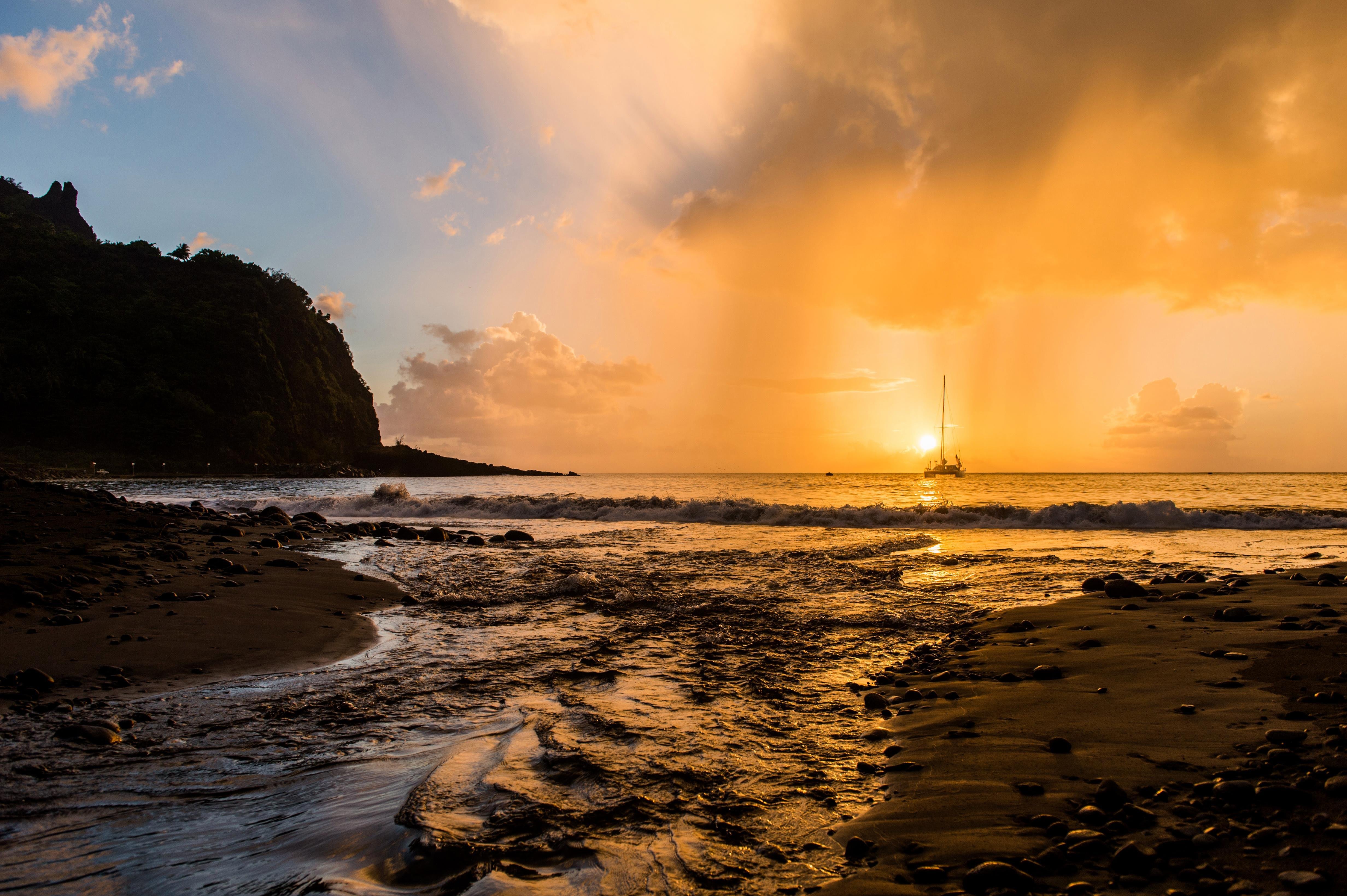 Galleri: De siste fra "The Search"