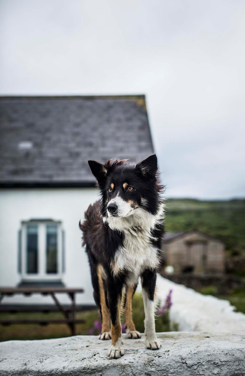 Gallery: The sights of Inis Mór