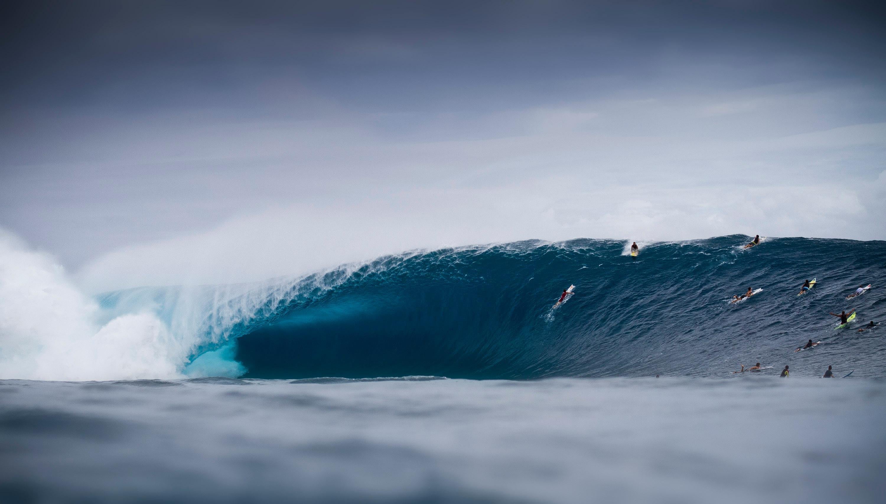 photo auqatique Stu Gibson