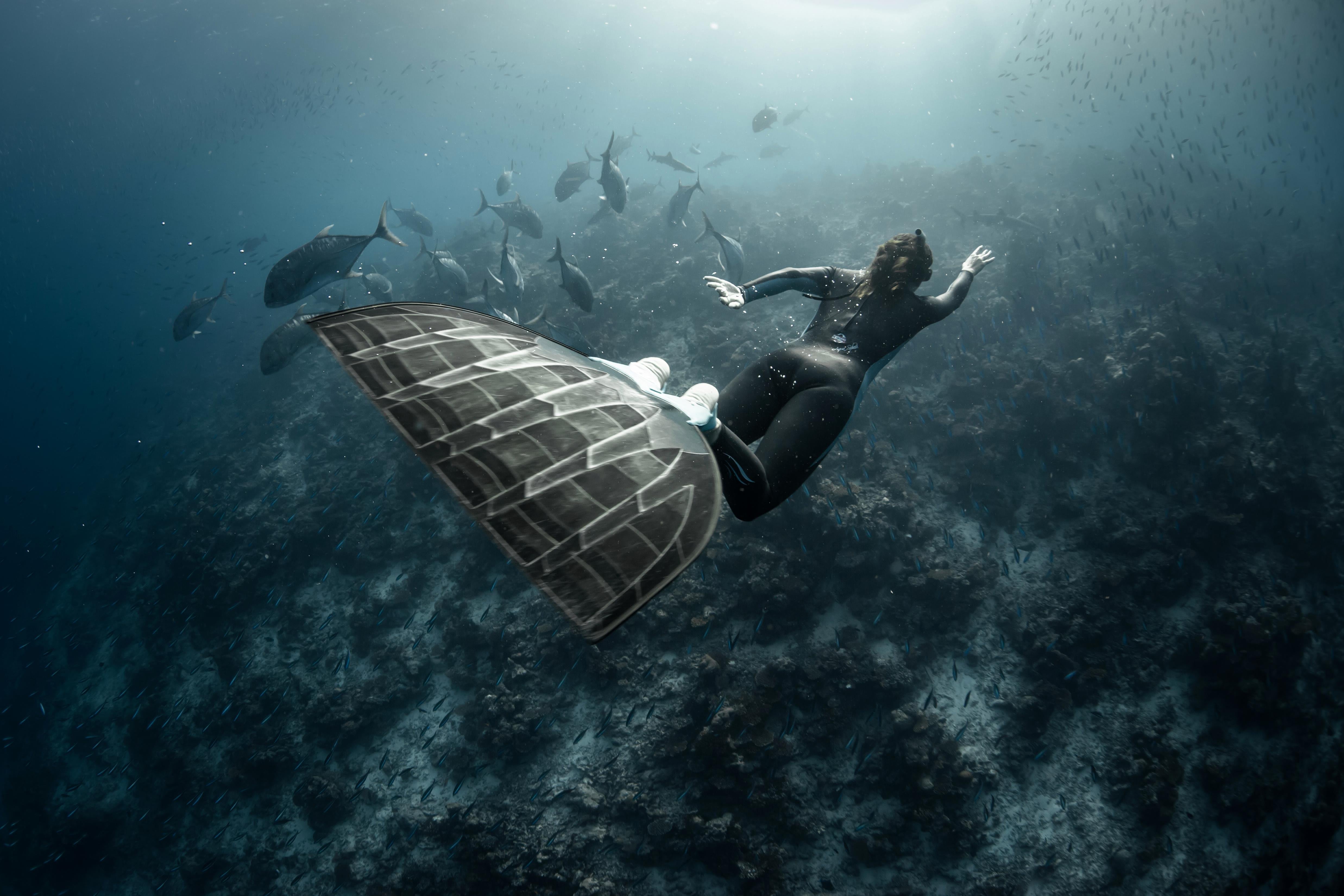 freitauchen-mit-walen