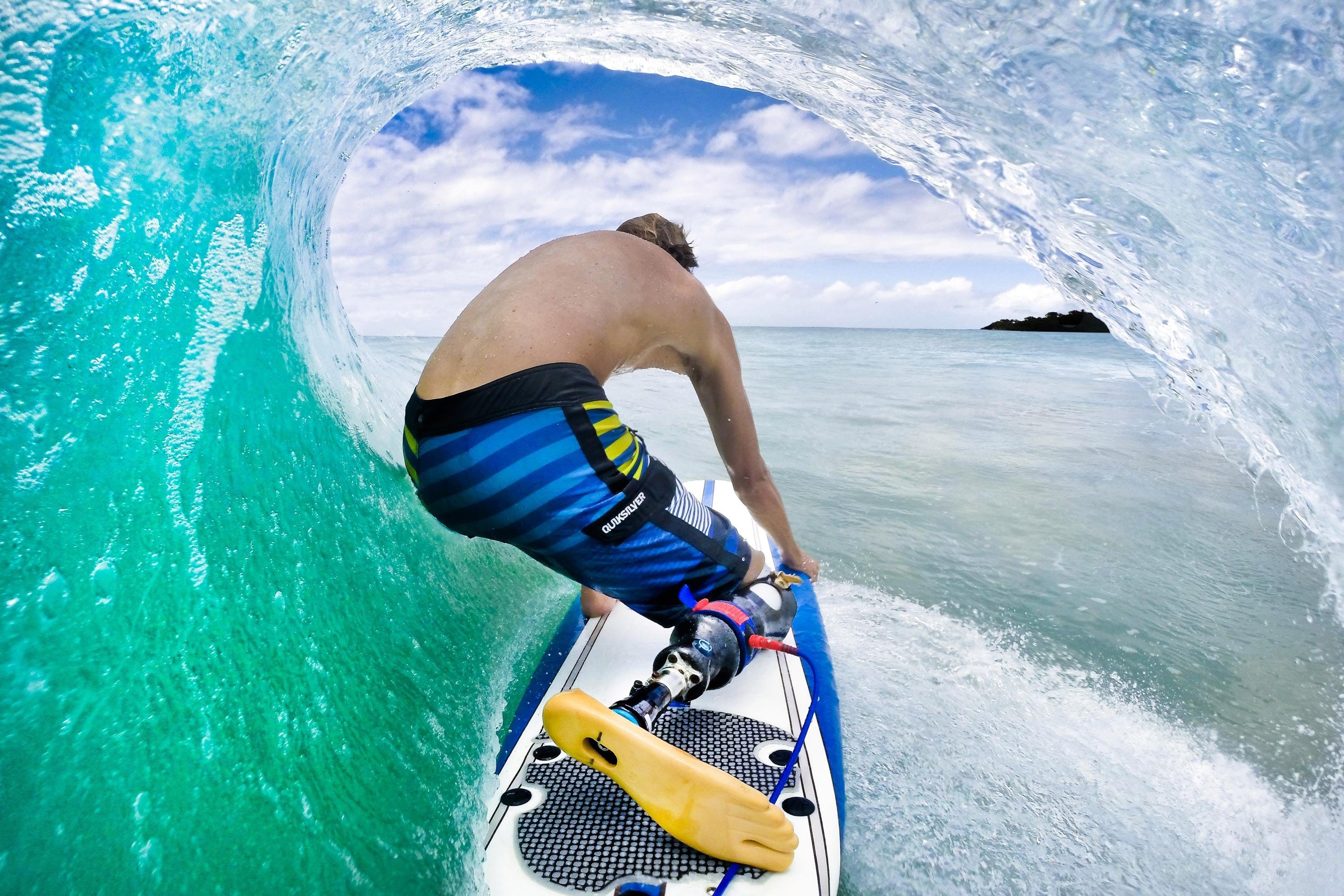 Top 9 des histoires incroyables de requins ! Photos