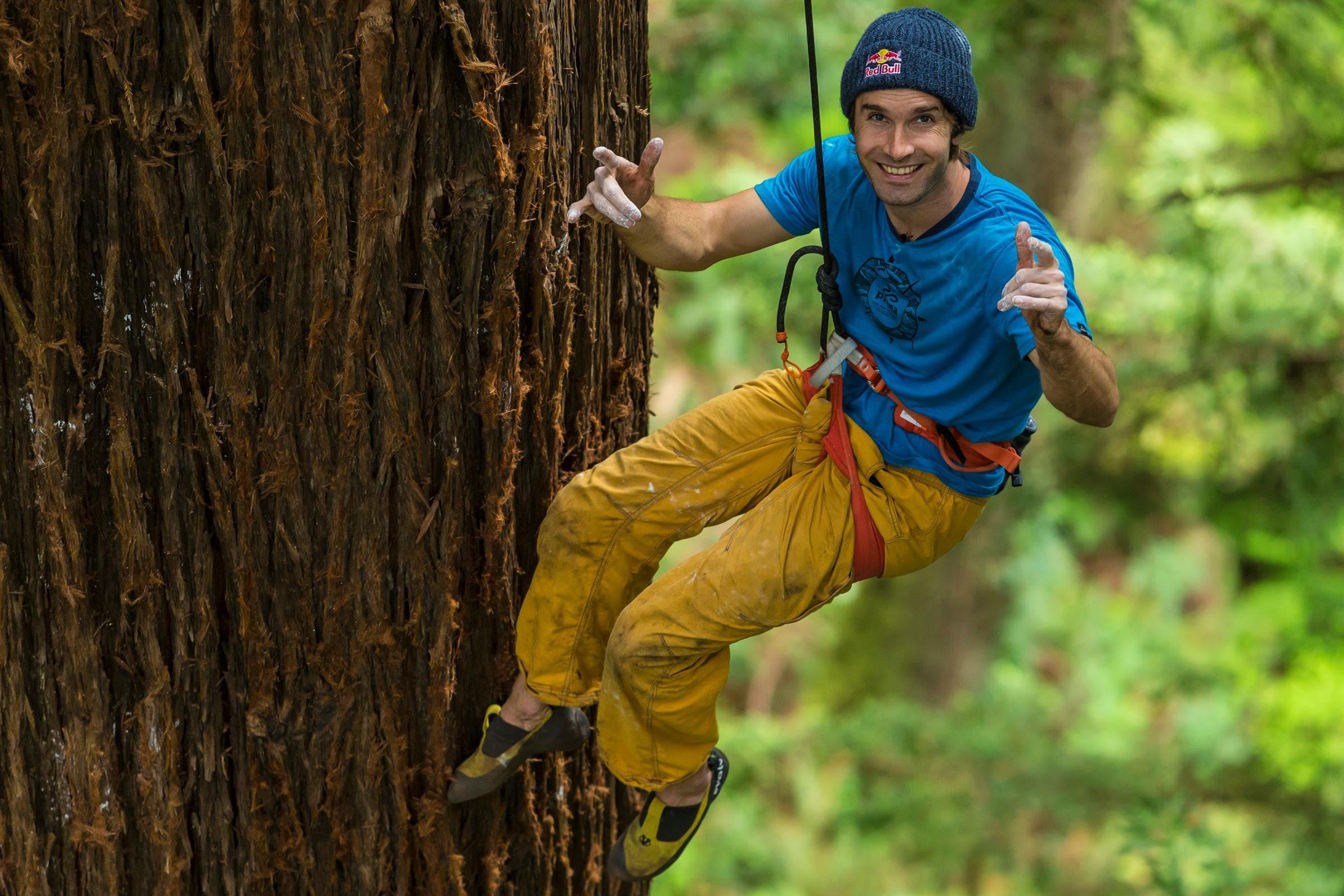 Giant Ascent Photos: Chris Sharma Free Climbs Redwood