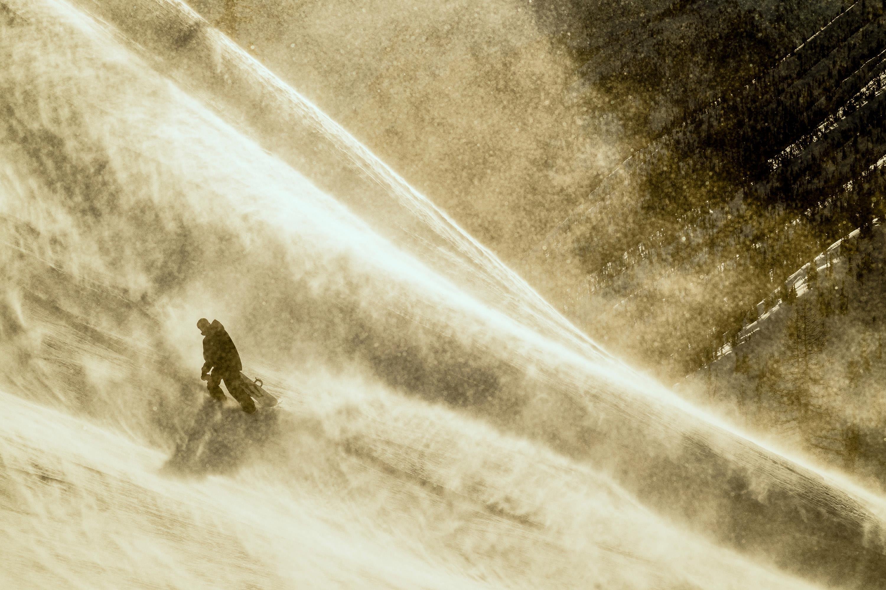 Les plus belles images de Scott Serfas