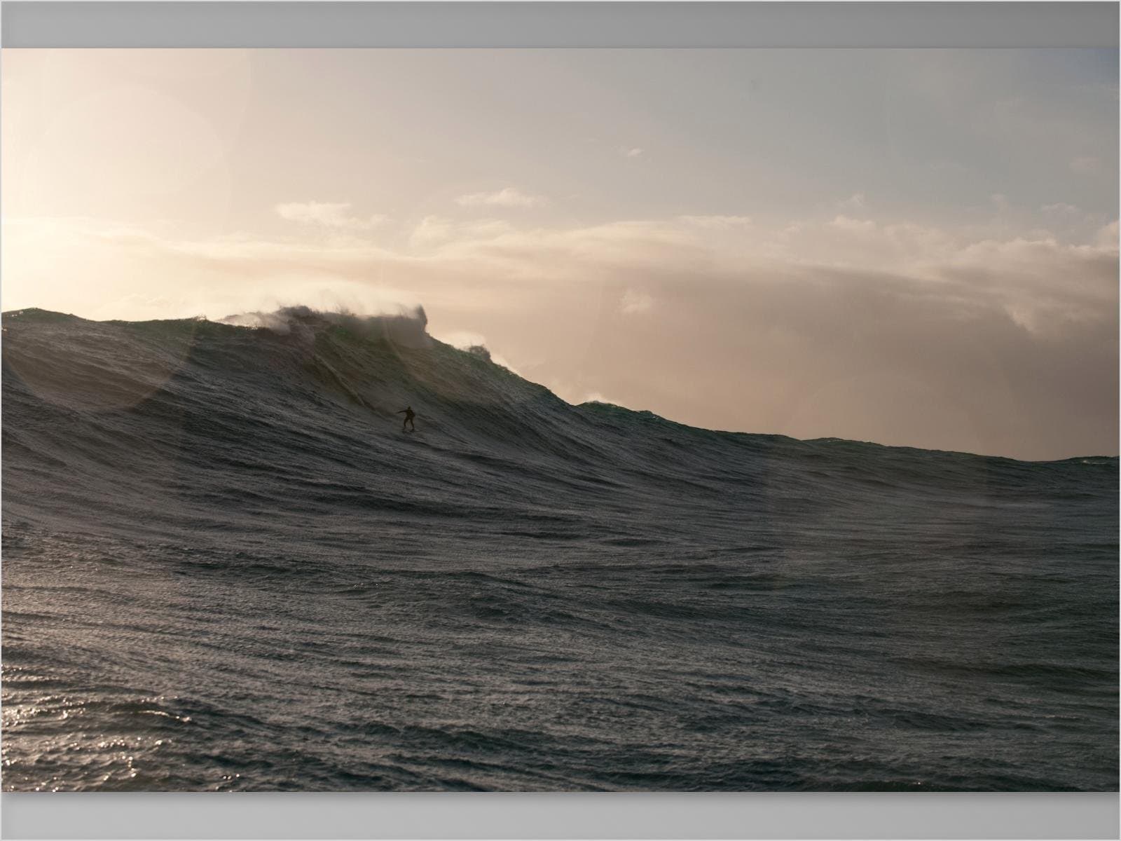 Tim Bonython: Cow Bombie surf video | Red Bull Surfing