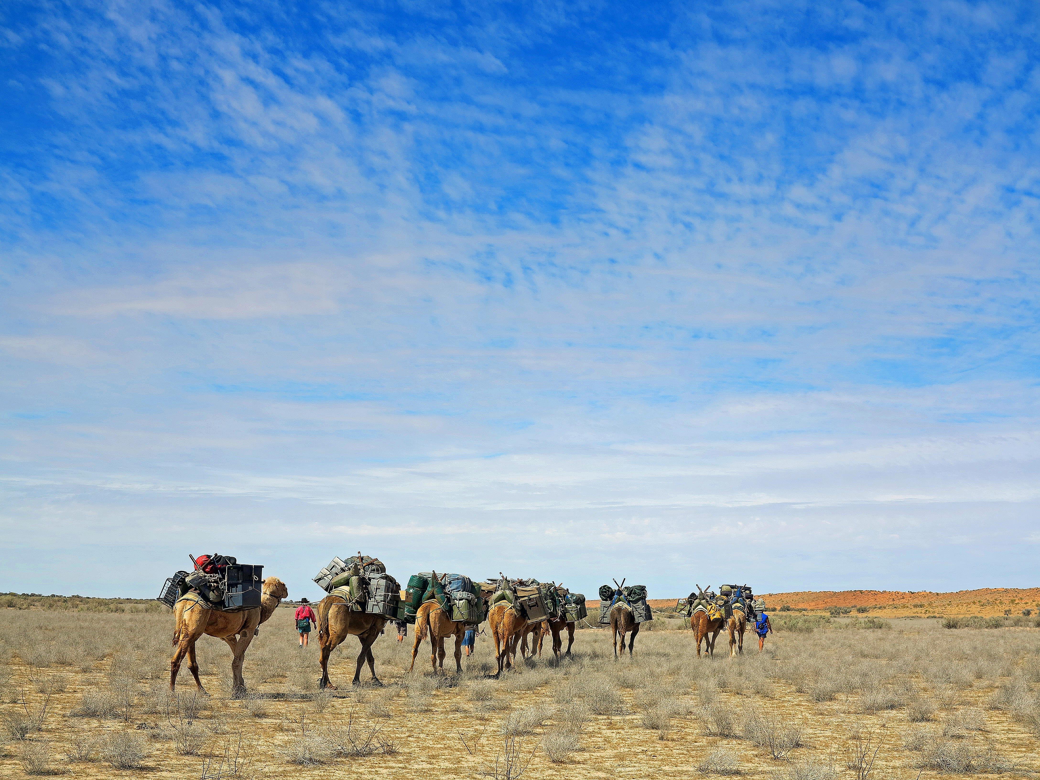 What does it take to be a freelance travel writer?