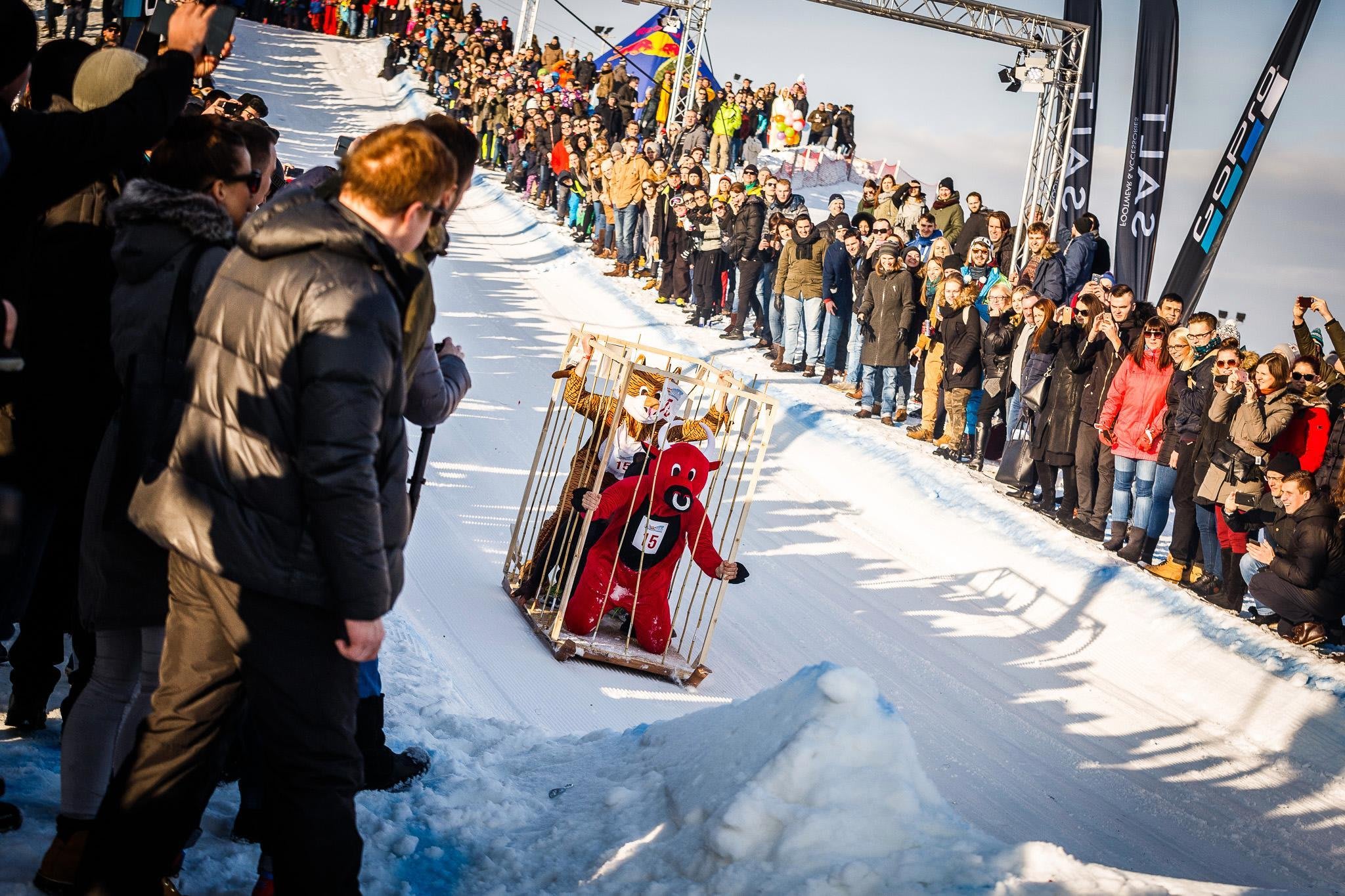Red Bull Jump and Freeze - galerija