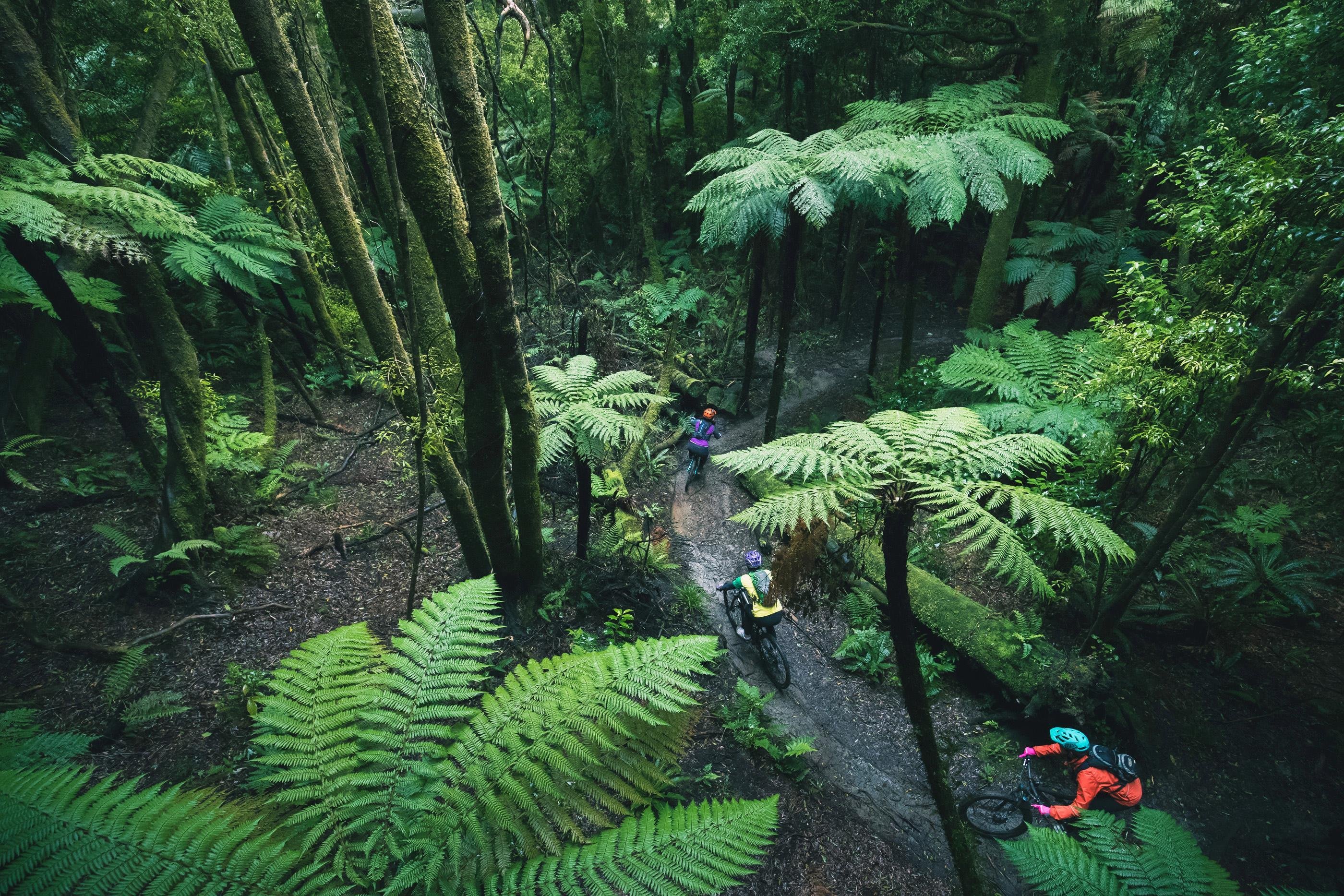 Best MTB trails in Rotorua: The top 5 you need to ride