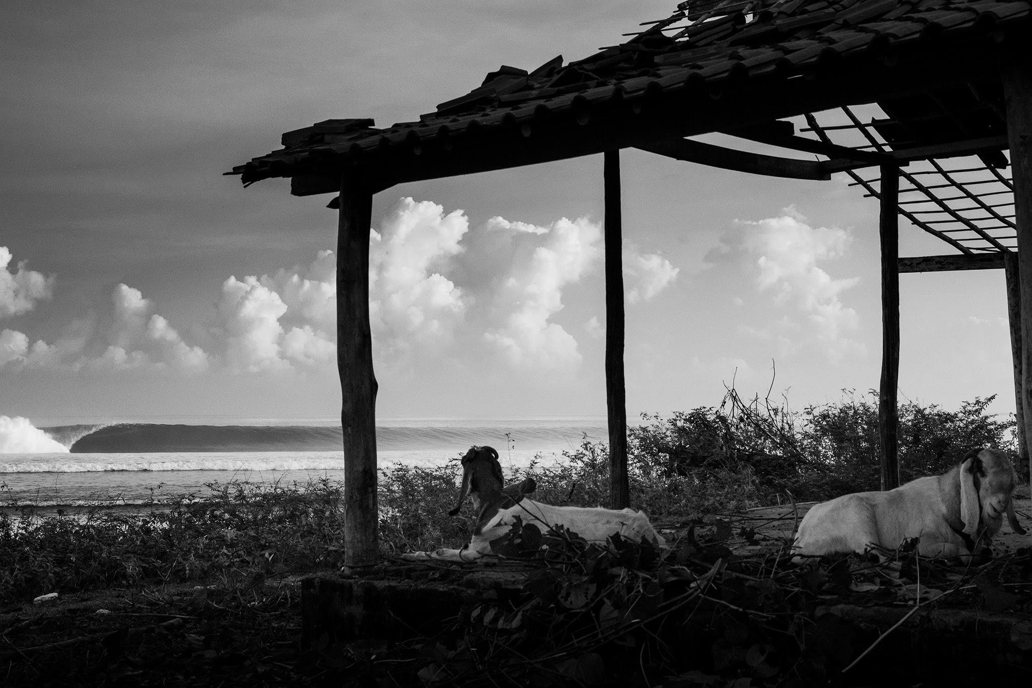 Desert Point: Epic Waves Surfing Sessions — Red Bull