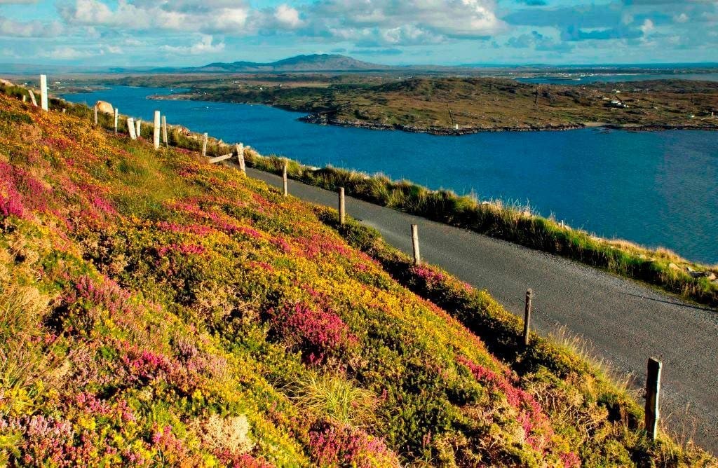 Best road trips Ireland: The top 5 you have to do