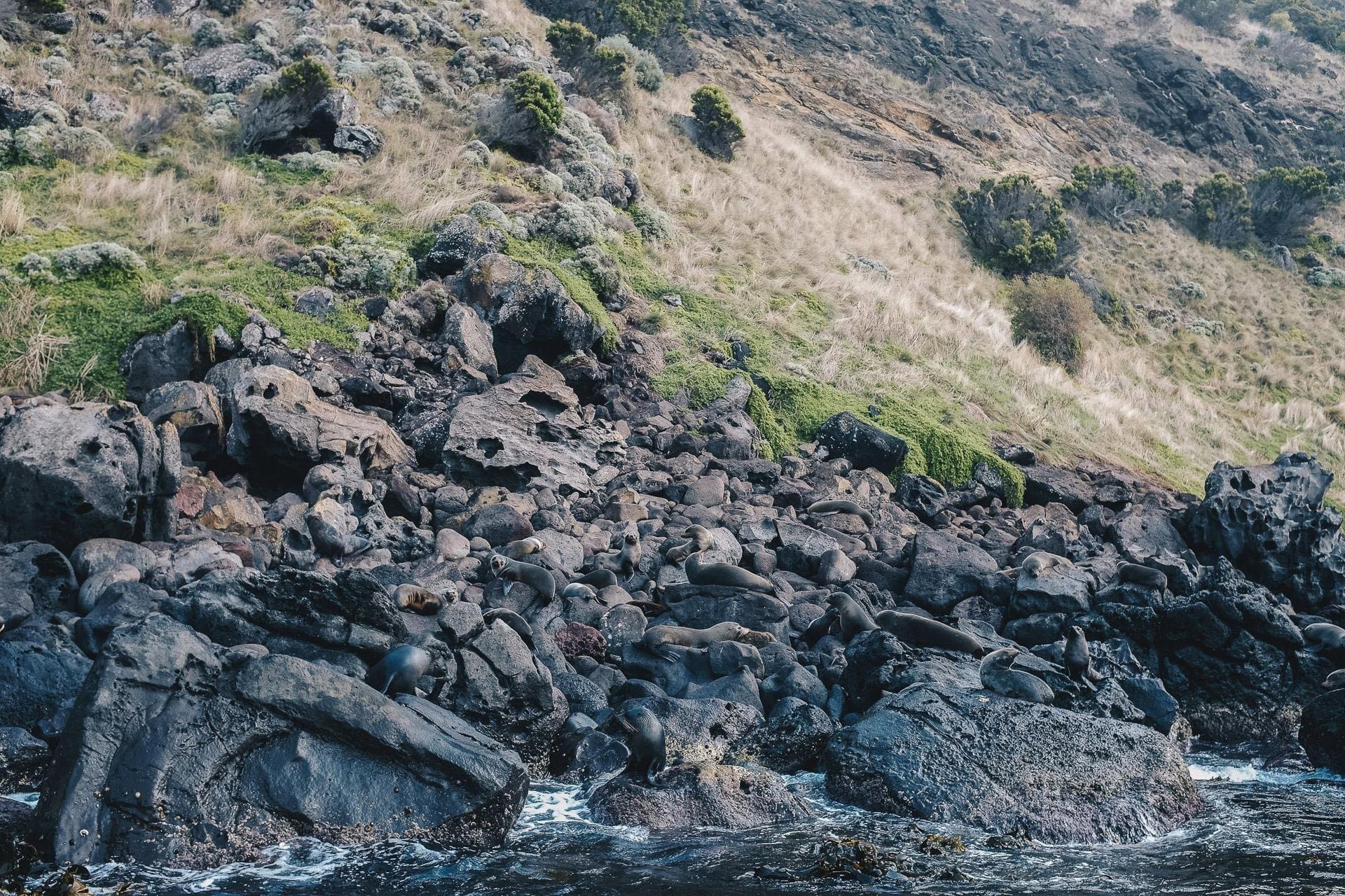 Things to do in Portland: 8 great places to discover