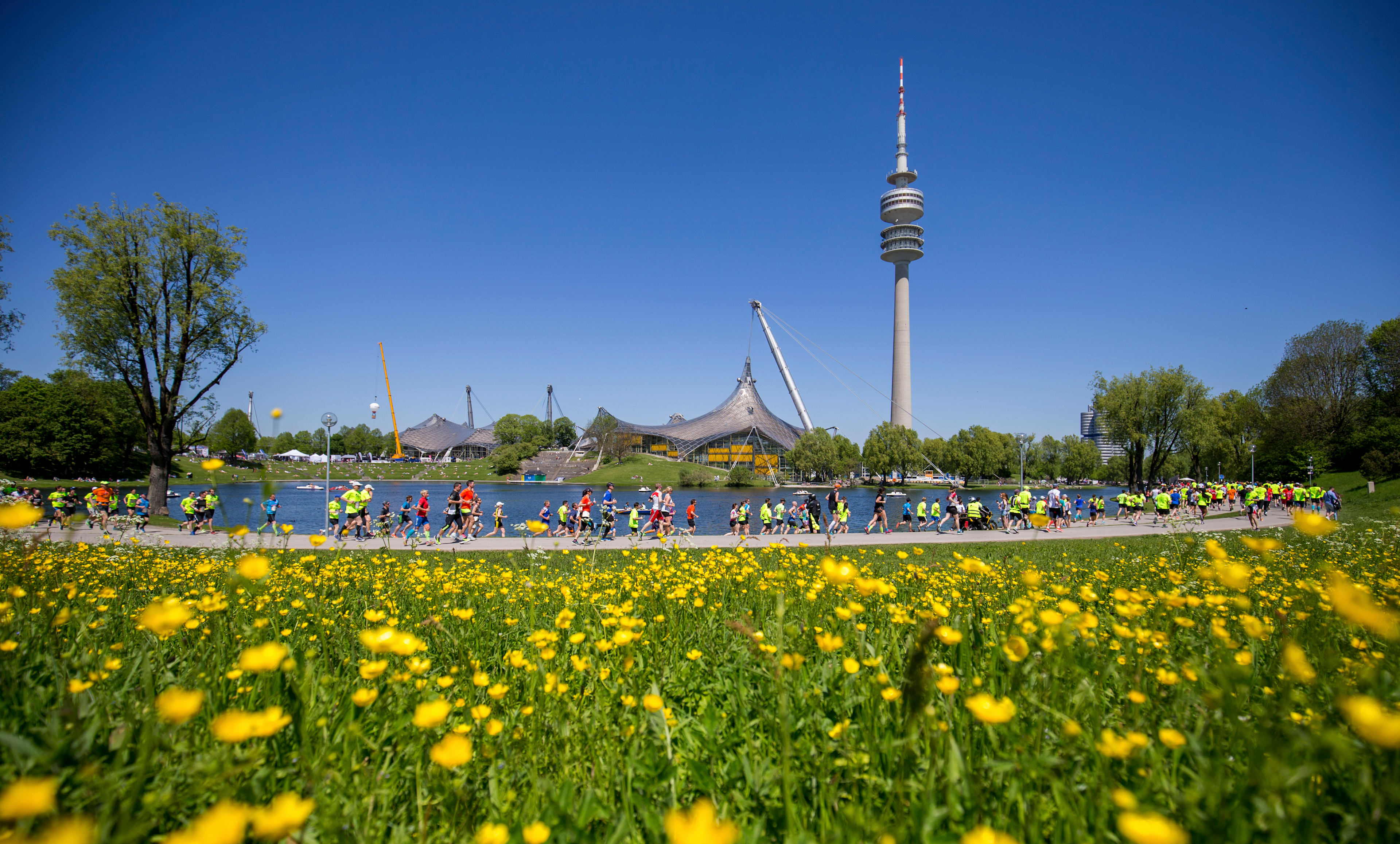 Red Bull Deutschland